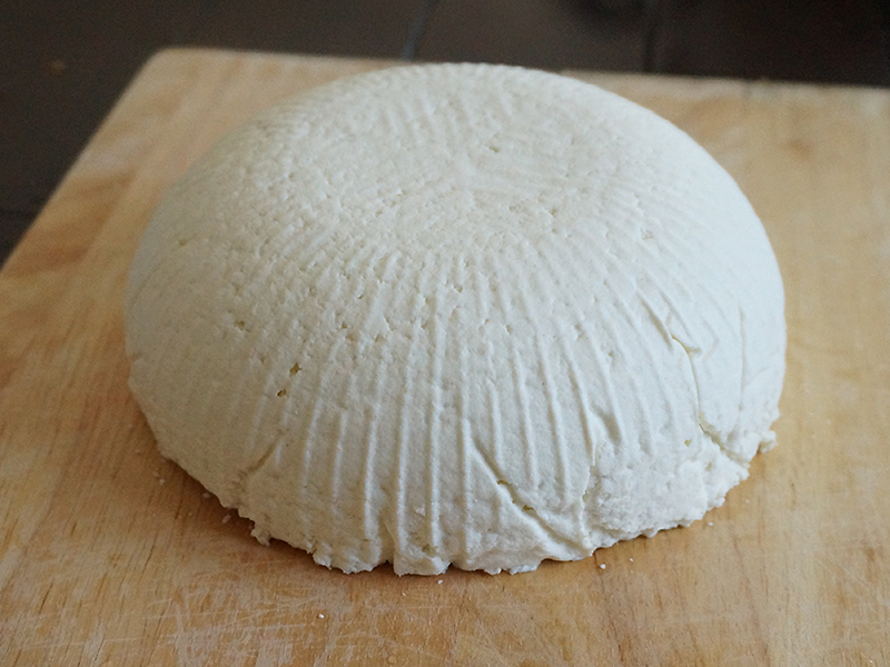 Home-Made Paneer | My Annoying Opinions