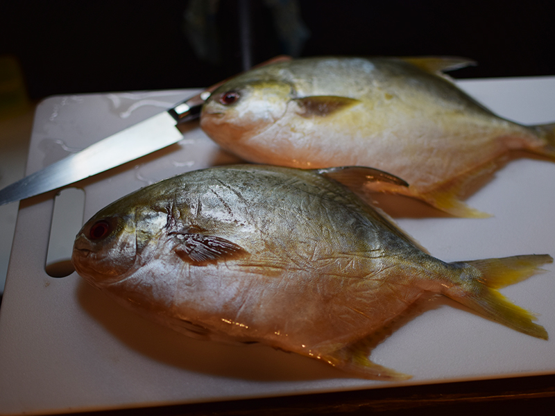 Fried Fish with Onions | My Annoying Opinions