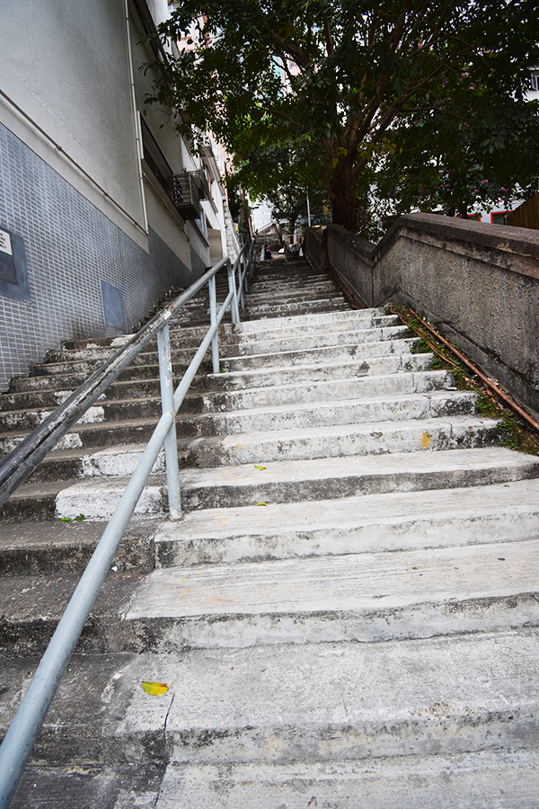 Steps | My Annoying Opinions