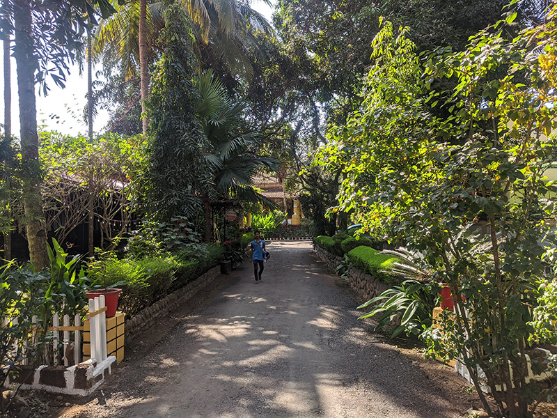 Fernando’s Nostalgia (Goa, Jan 2020) | My Annoying Opinions