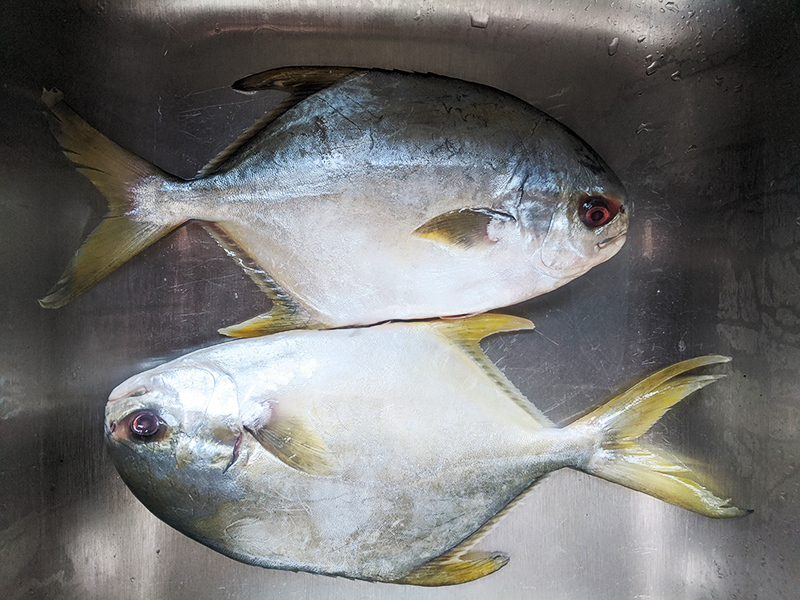 Sour Fish Curry with Coconut Milk and Kokum | My Annoying Opinions