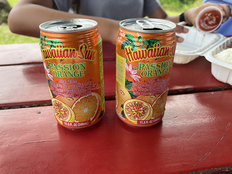 Randy’s Huli Chicken, Drinks | My Annoying Opinions