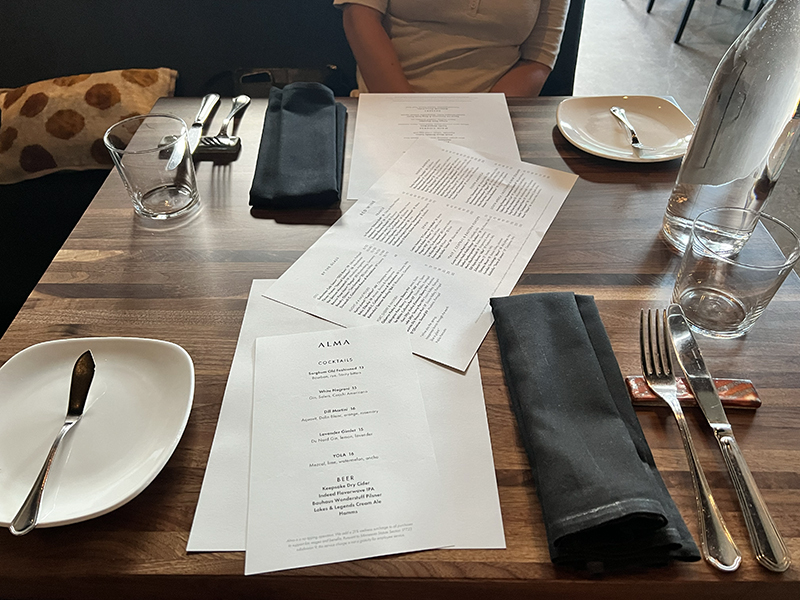 Alma, August 2022, Setting | My Annoying Opinions