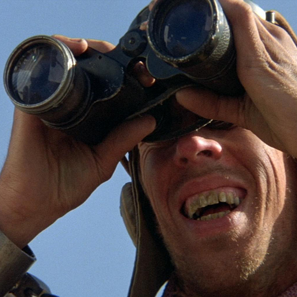 gyro captain | My Annoying Opinions