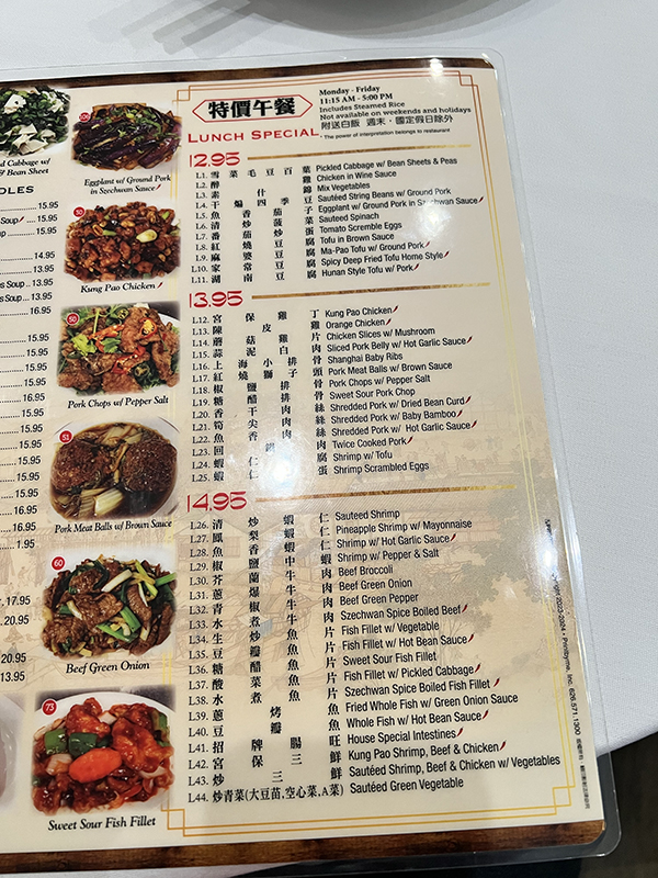 Jiang Nan Spring, Menu, Lunch Special | My Annoying Opinions