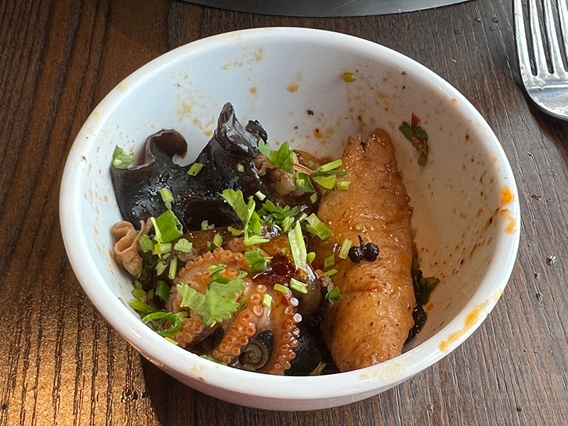 Kung Fu Hotpot, Octopus, fish and fungus | My Annoying Opinions