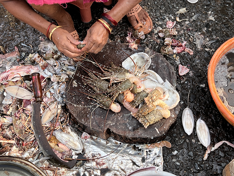 Sassoon Dock Fish Market, Shevan, cleaning | My Annoying Opinions