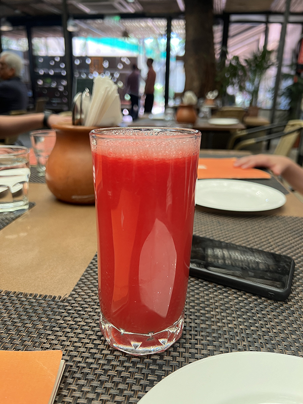 Cafe Lota, Fresh Watermelon Juice | My Annoying Opinions