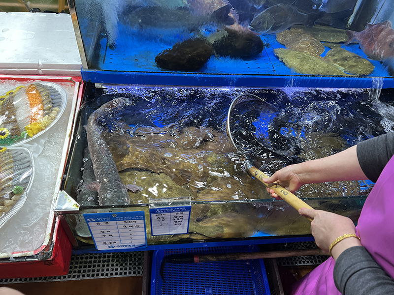 Eating at Noryangjin Fish Market, Going in for a fish | My Annoying ...
