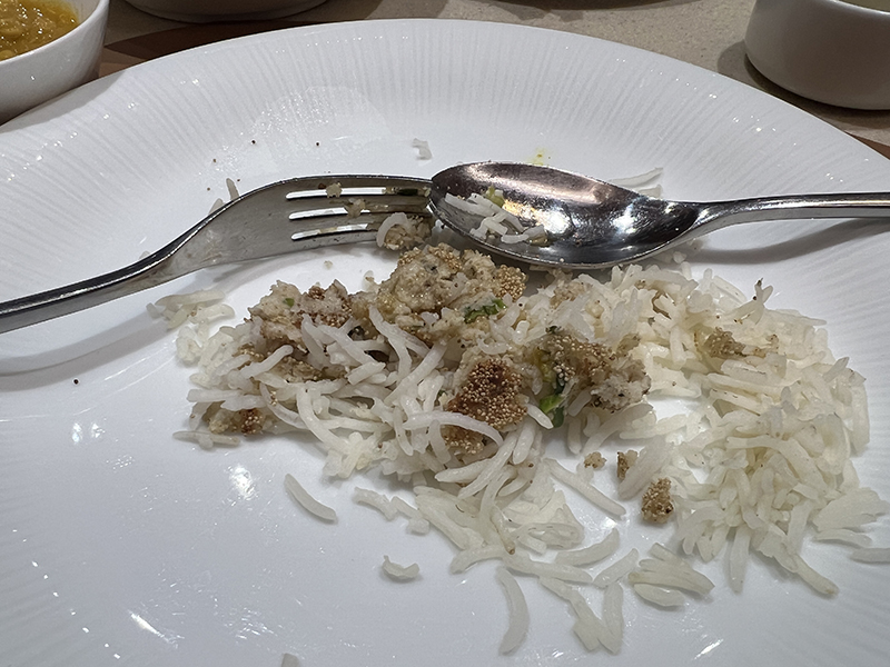 6 Ballygunge Place, With ghee and rice | My Annoying Opinions